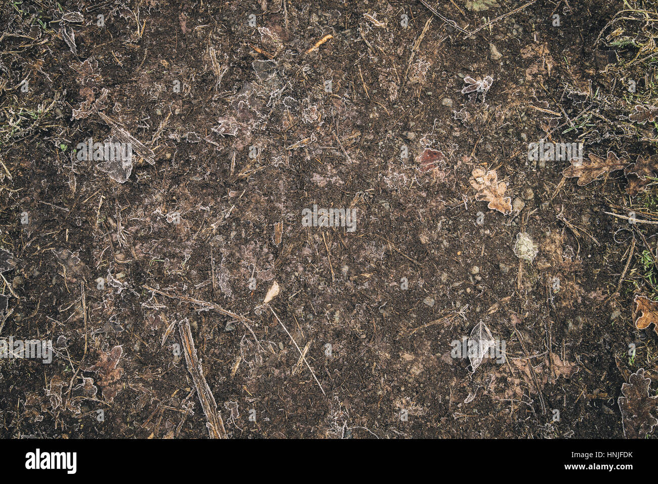 Frosty Soil and Leaves Texture Stock Photo - Alamy