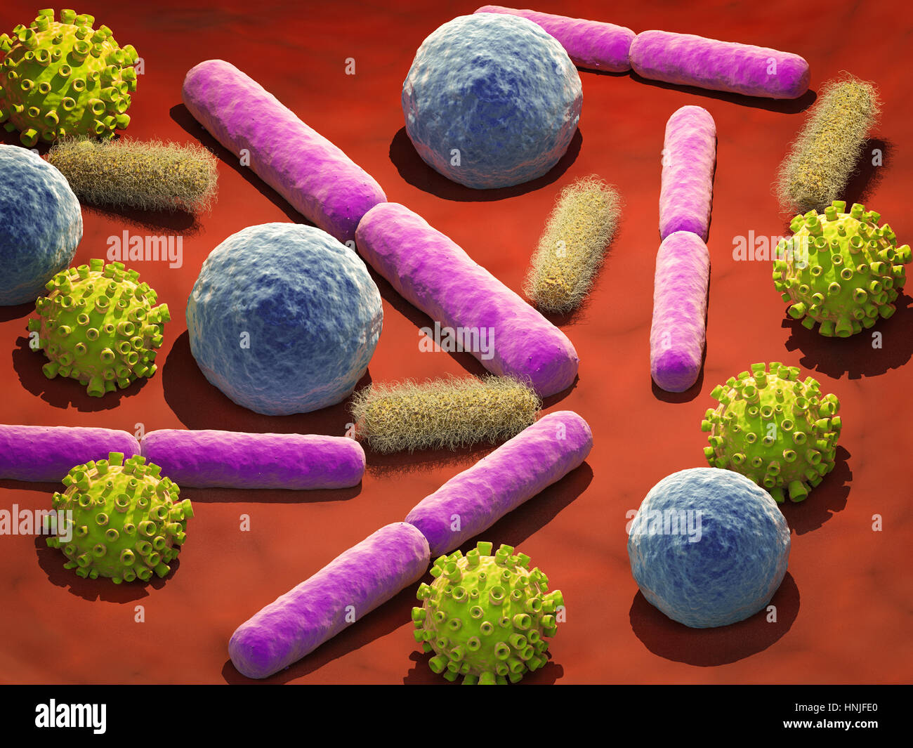 Sepsis microscope hi-res stock photography and images - Alamy