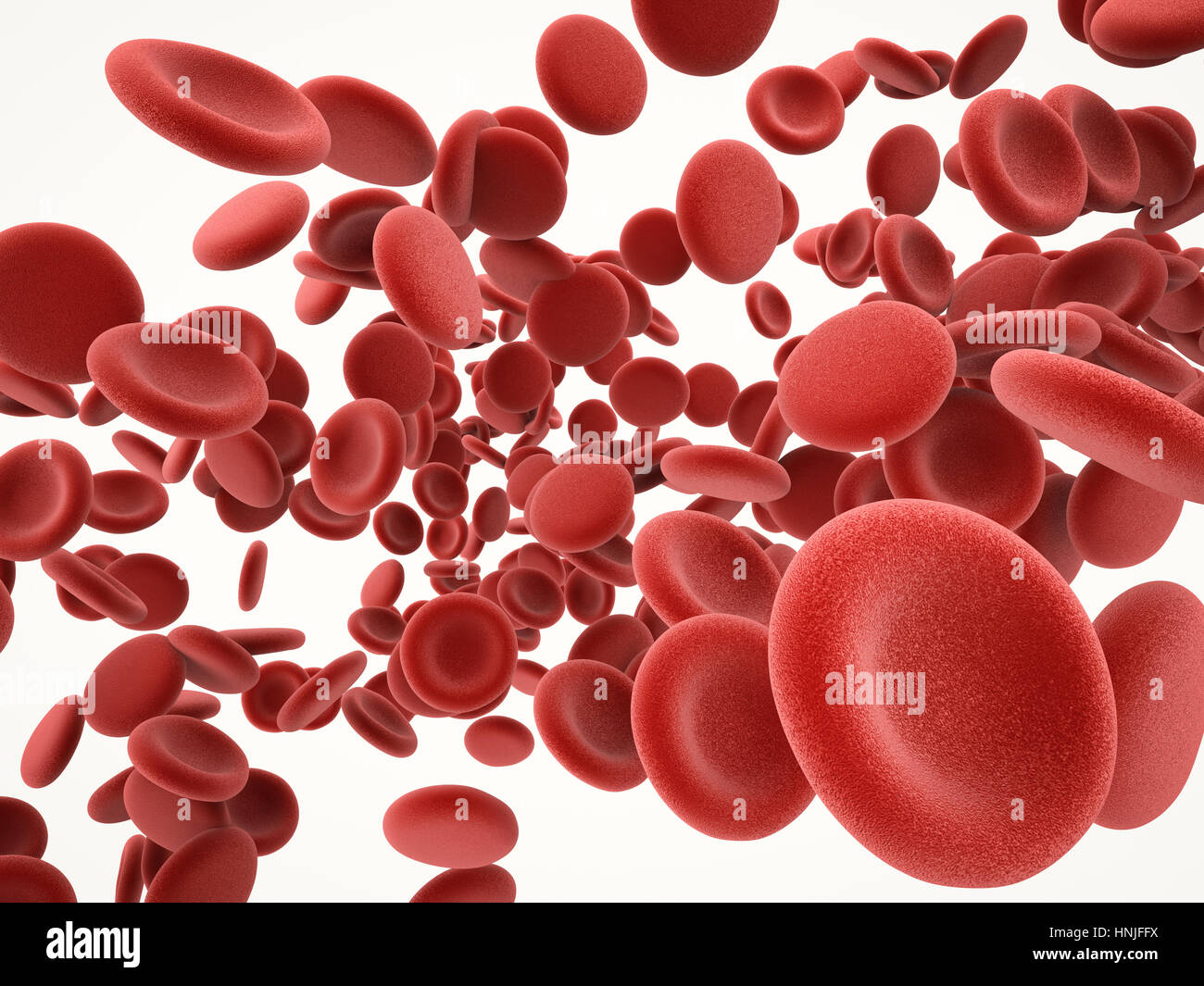 White Blood Cells Background