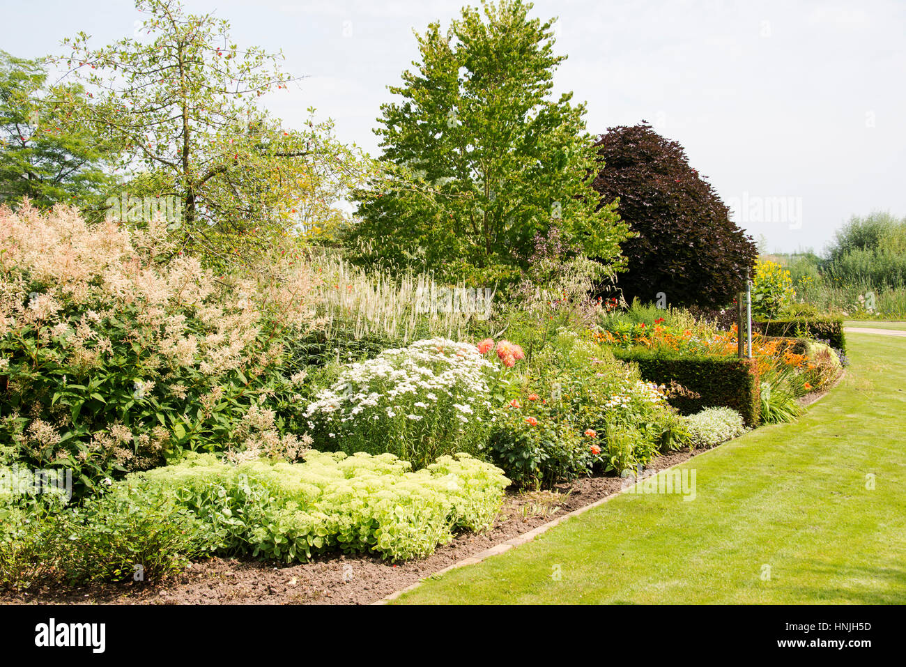 big english landscape garden with plants trees and flowers in summer ...