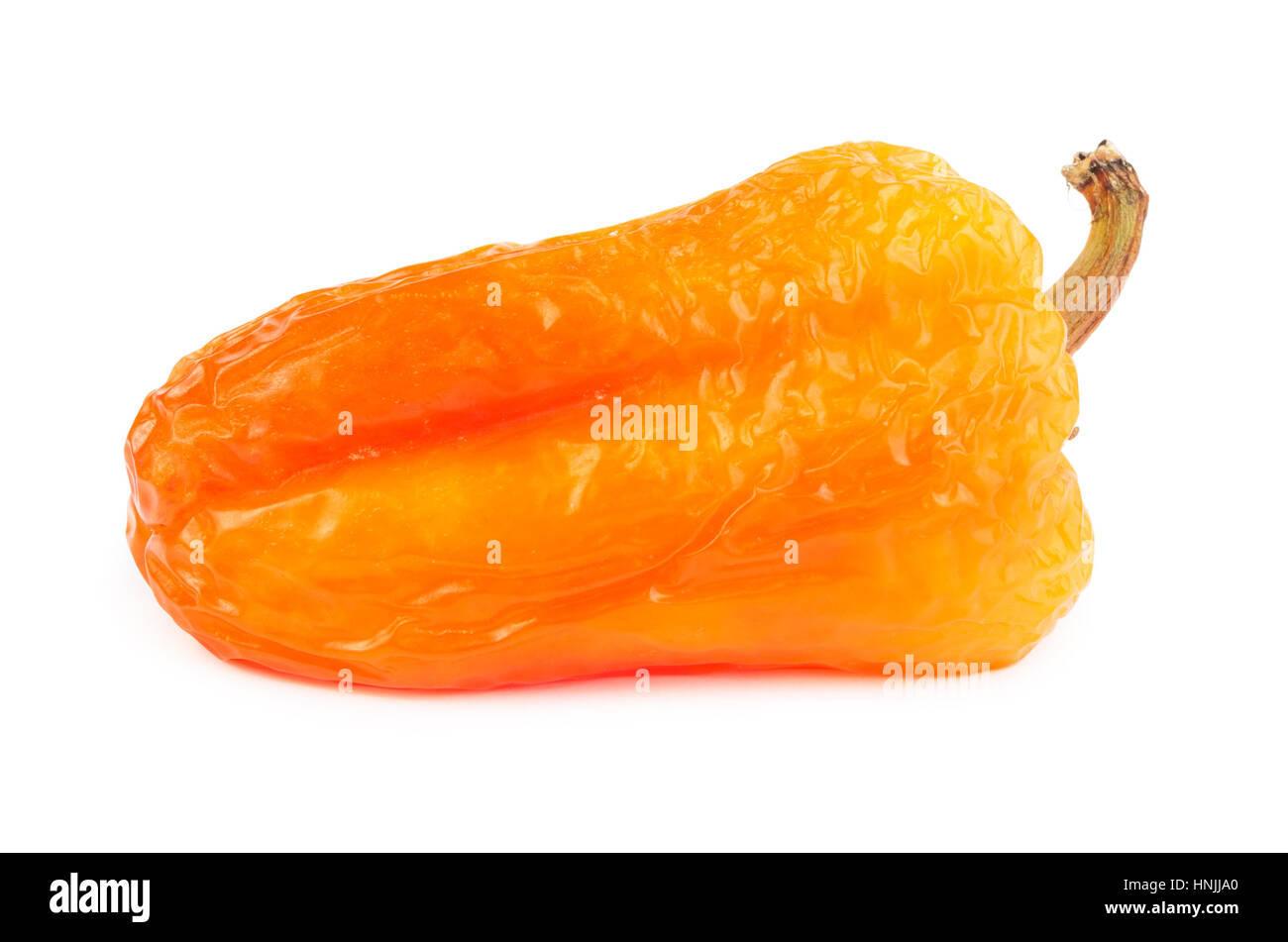 Withered orange bell pepper isolated on white background. Moldy ...