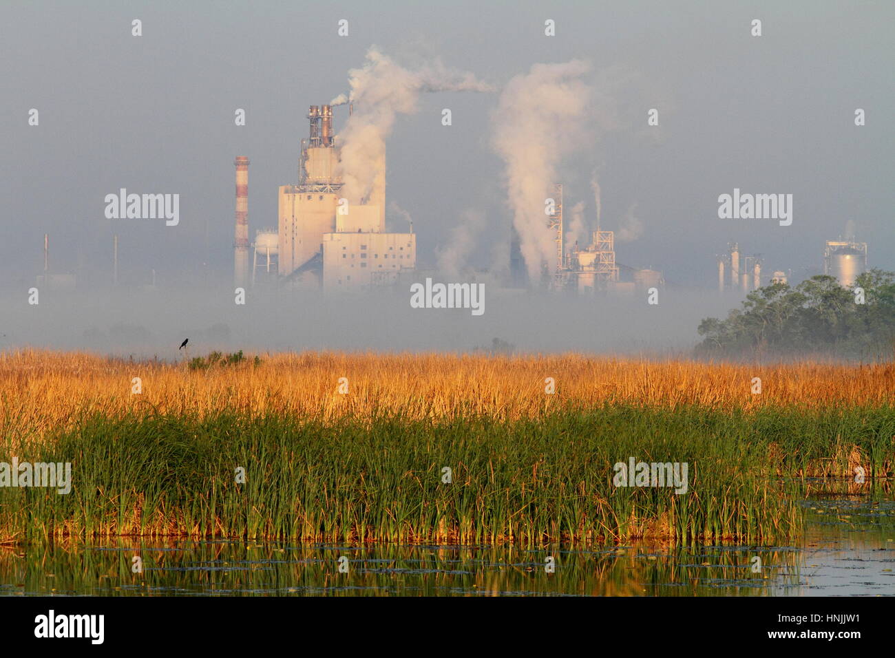 Paper mill water pollution hi-res stock photography and images - Alamy