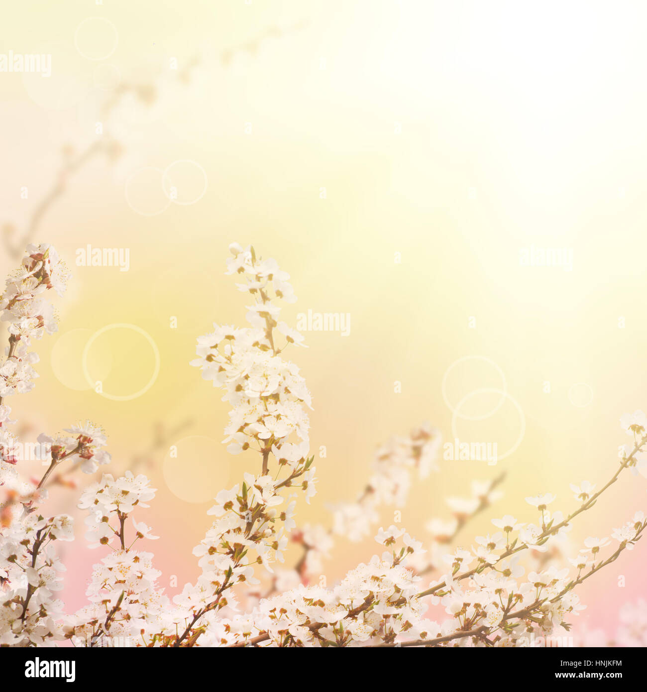 Abstract spring background Stock Photo - Alamy