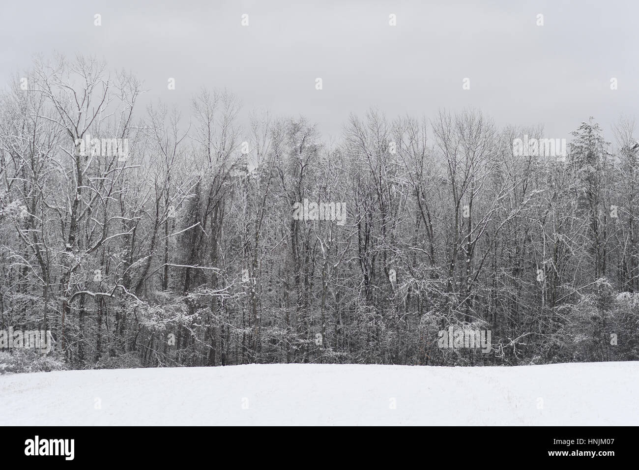 Virgin snow scene hi-res stock photography and images - Alamy