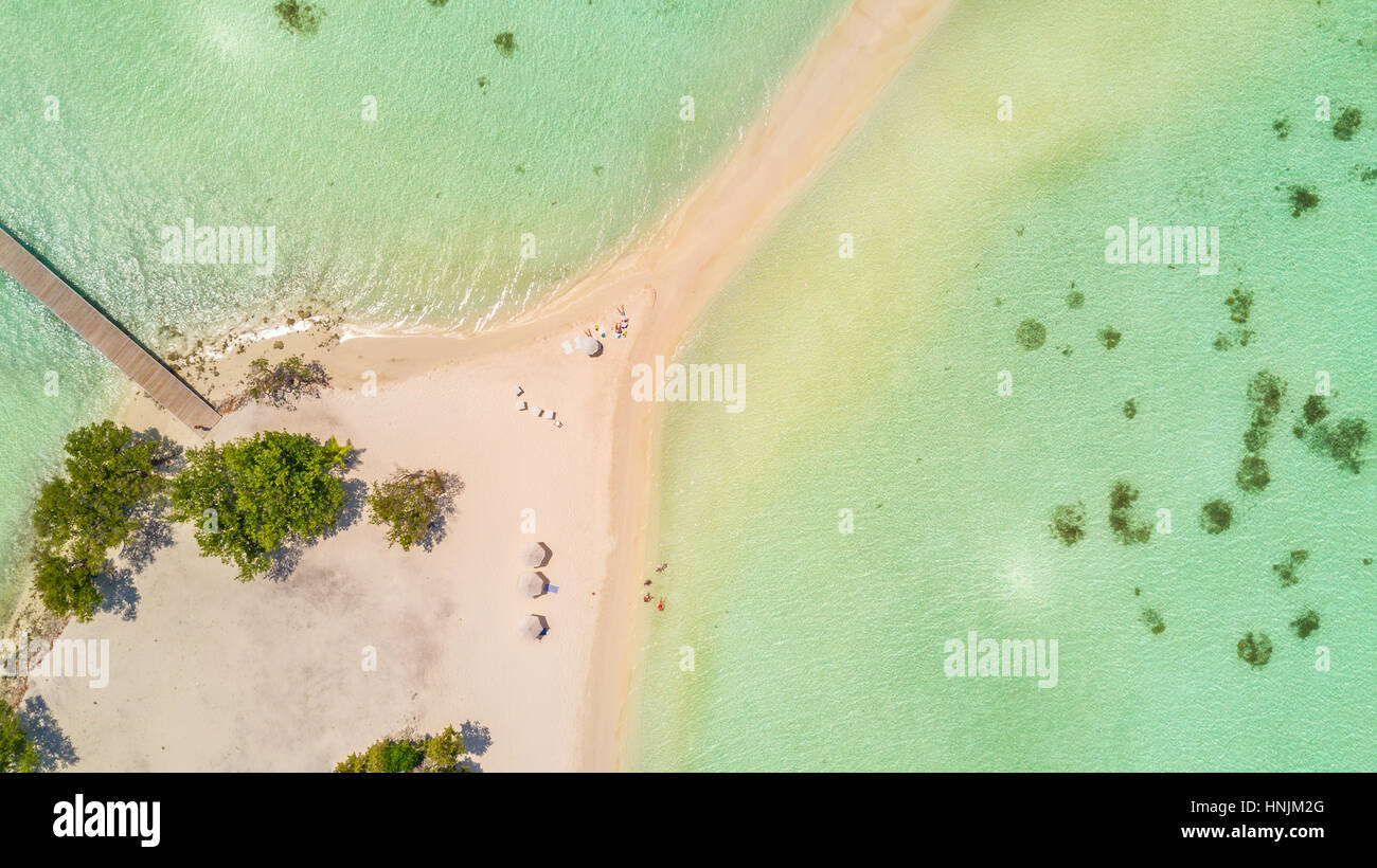 Beautiful aerial view of Maldives jetty and tropical beach with palms ...
