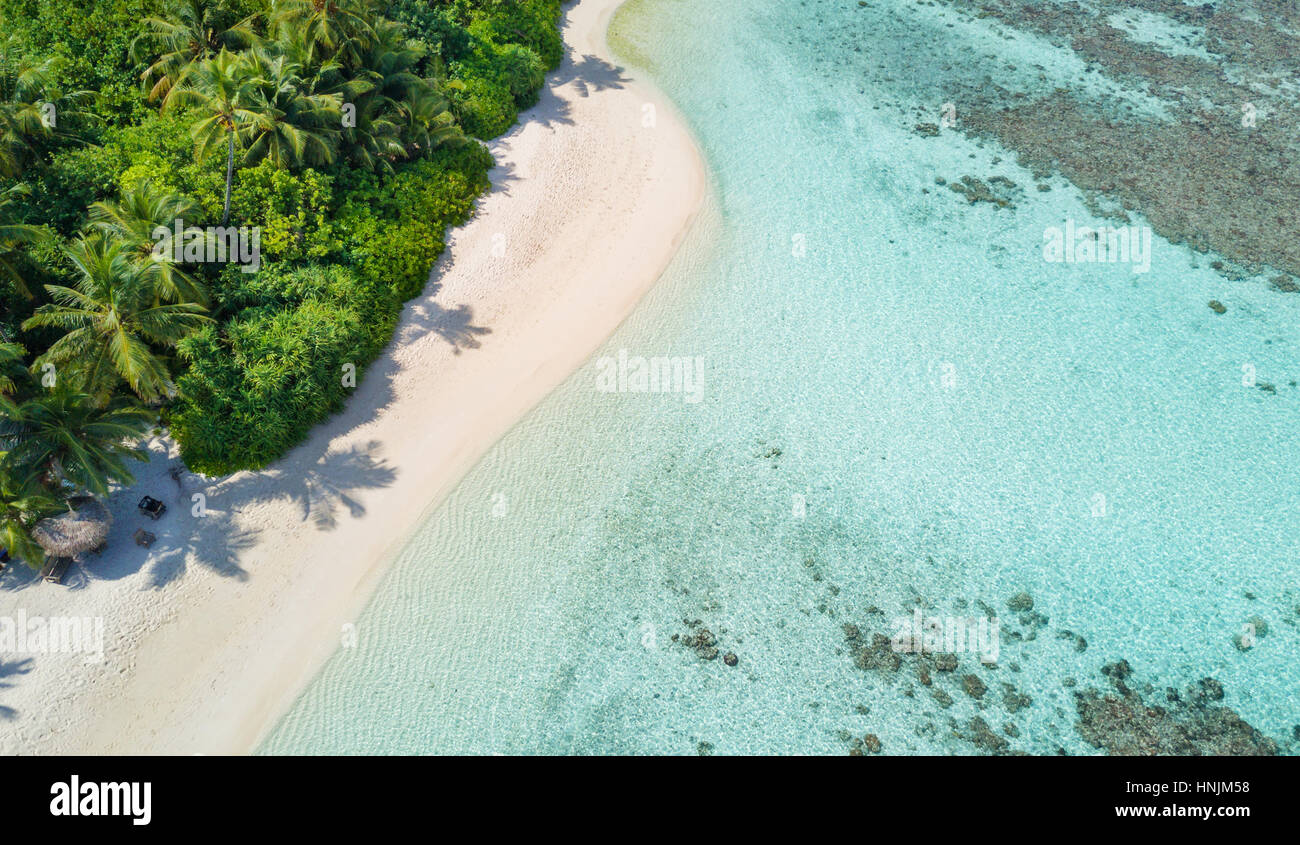 Beautiful aerial view of Maldives tropical beach with palms and white ...