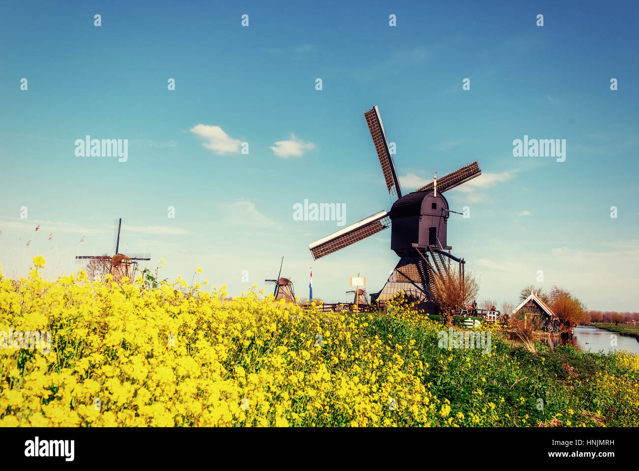 Old Dutch windmills spring from the canal in Rotterdam. Holland Stock ...