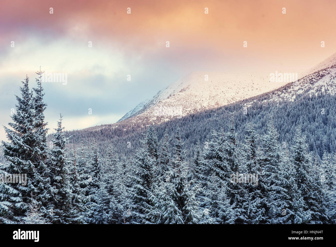 Winter landscape glowing by sunlight. Dramatic wintry scene Stock Photo ...