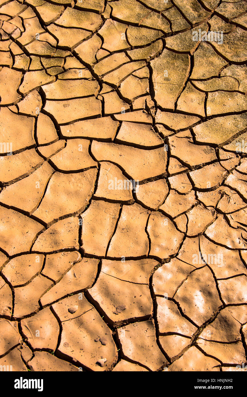 dry cracked mud Stock Photo - Alamy