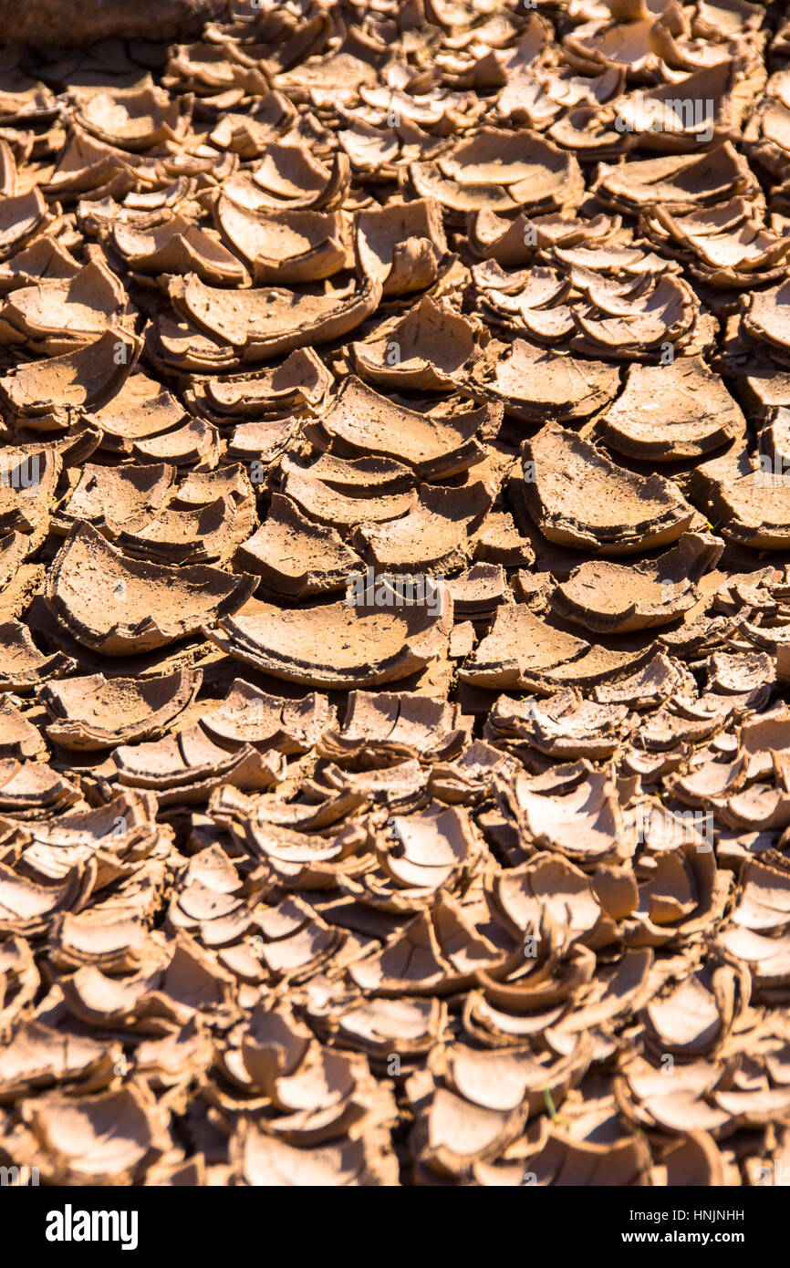 dry cracked mud Stock Photo - Alamy