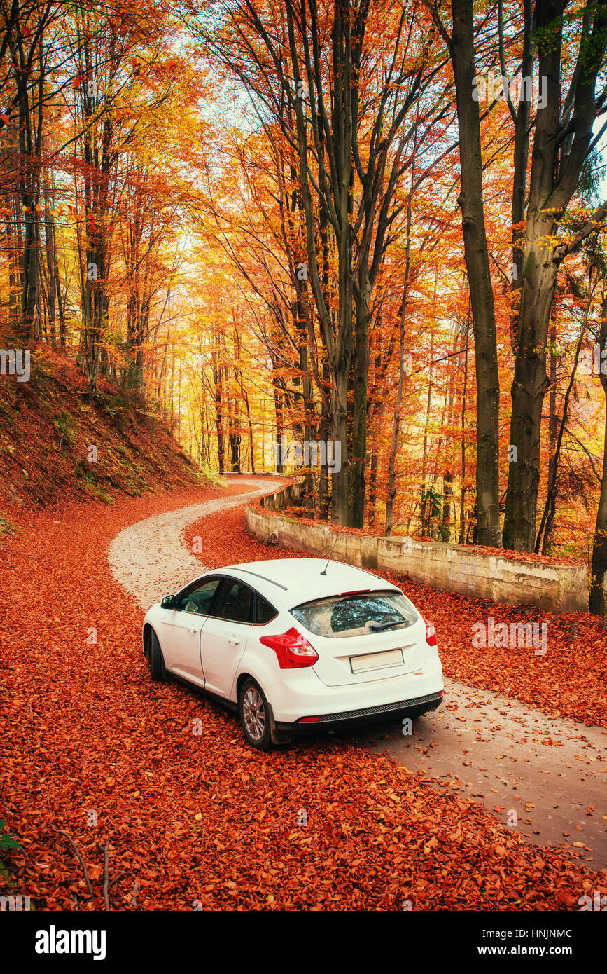 car on a forest path. Beautiful road in mountains. Carpathian Stock ...