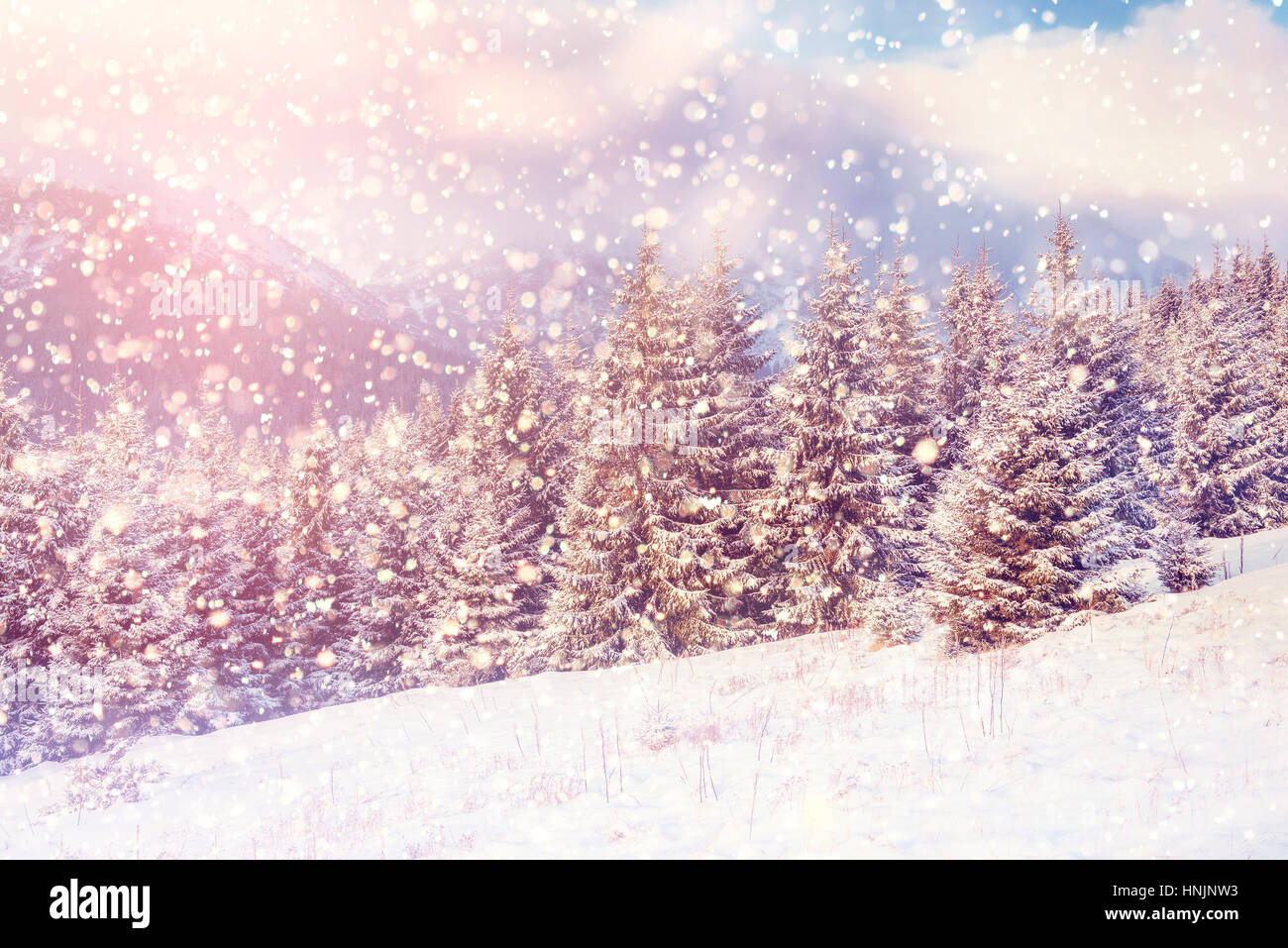 magical winter landscape, background with some soft highlights a Stock ...