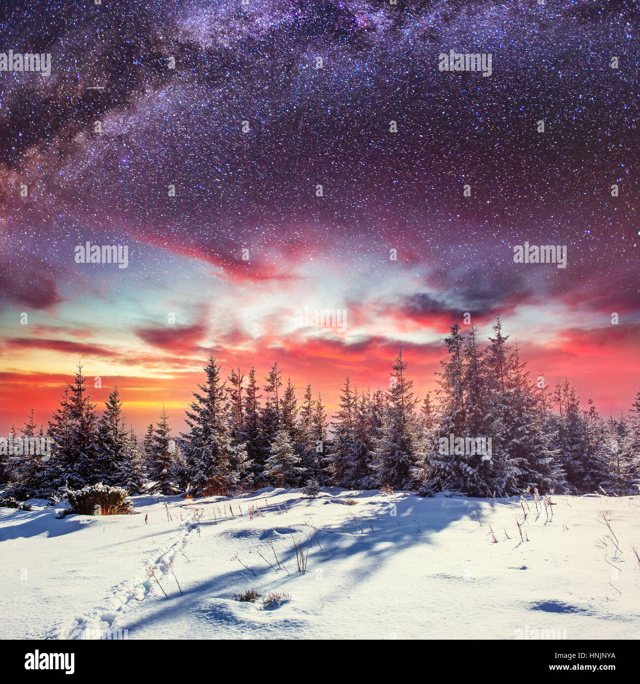 starry sky in winter snowy night. fantastic milky way Stock Photo - Alamy
