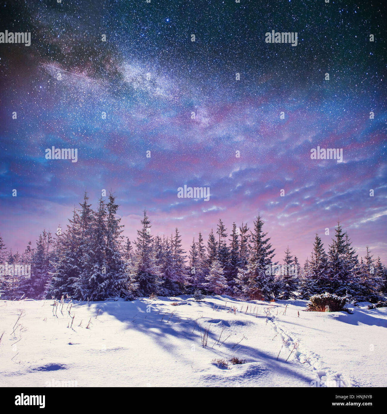 starry sky in winter snowy night. fantastic milky way Stock Photo - Alamy