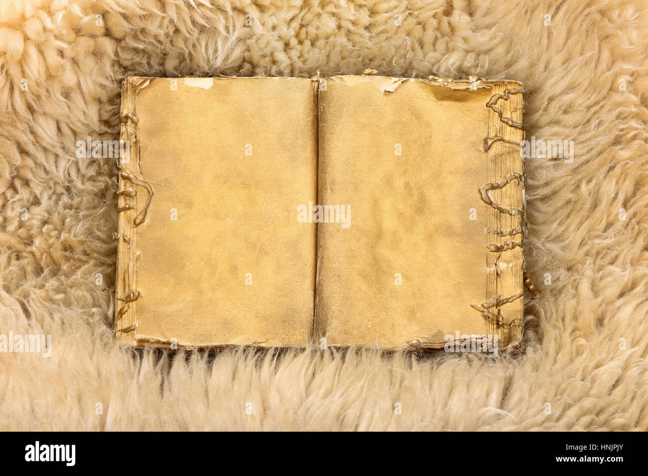 Old gold book on sheepskin background with empty space for text Stock ...
