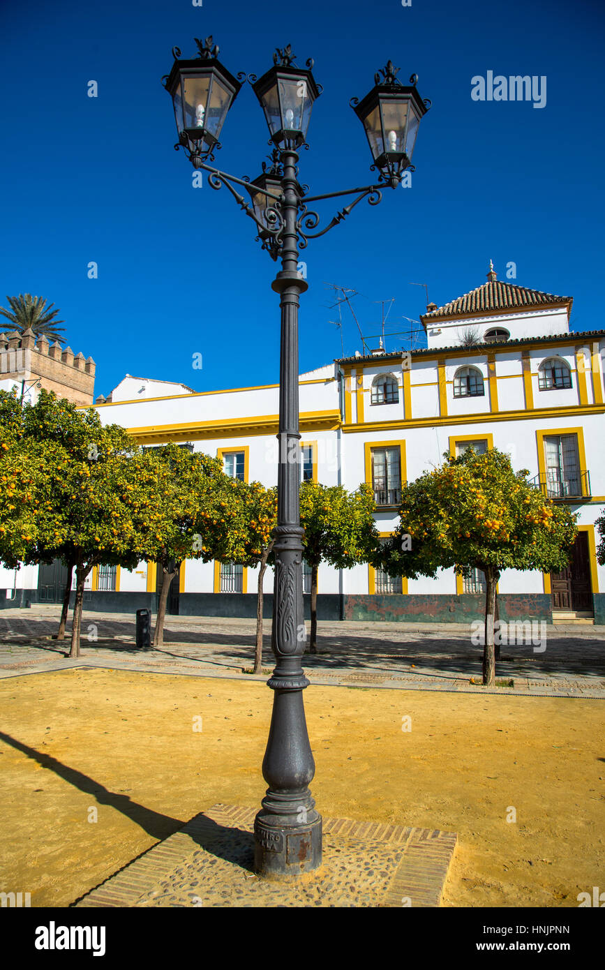 orange tree yard near giralda cathedral in sevilla, spain Stock Photo ...
