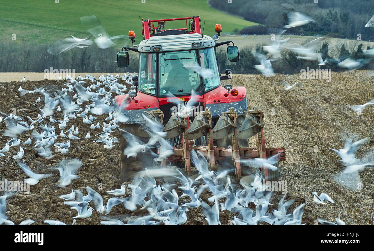 Ploughing Farmer High Resolution Stock Photography and Images - Alamy
