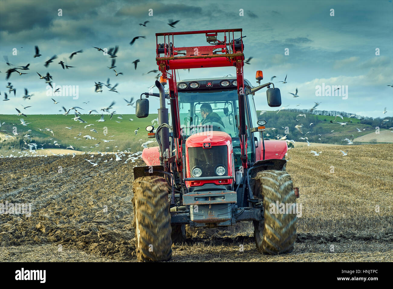 Tractor ploughing a field with feeding gulls Stock Photo - Alamy