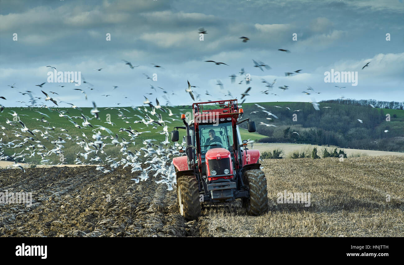 Ploughing the field hi-res stock photography and images - Alamy