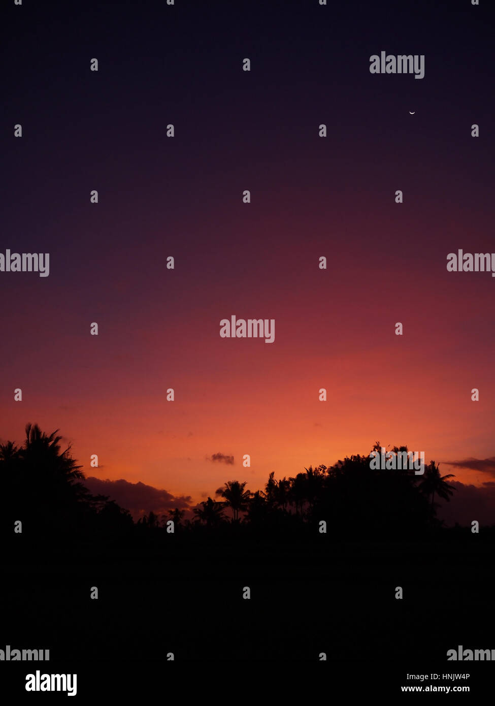 Night with young moon over jungle in tropical island. Bali, Indonesia ...