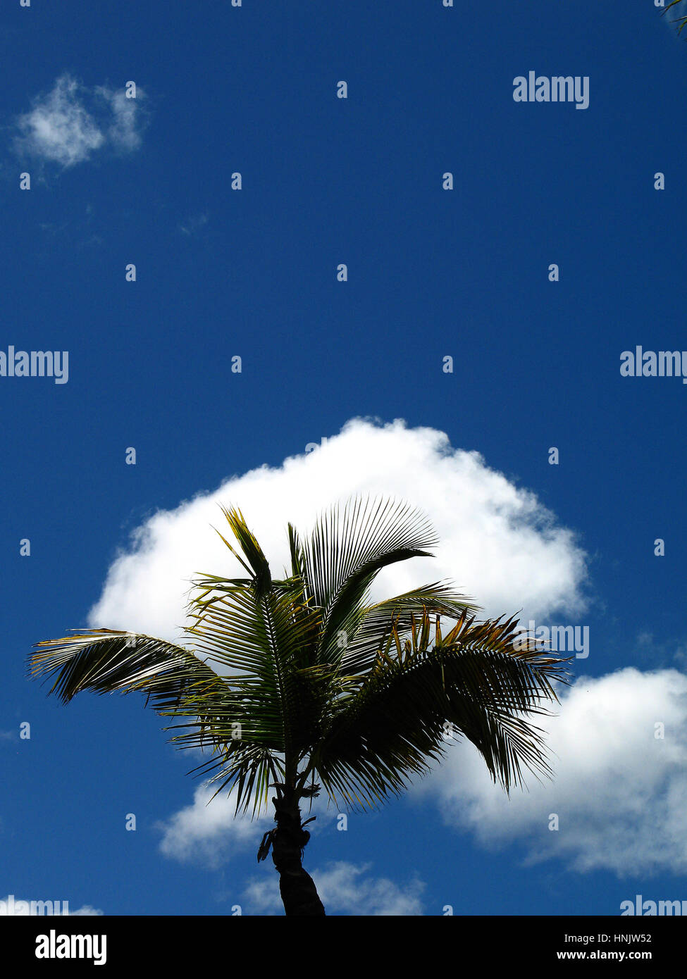 Garden and outdoor facilities of the Oberoi Luxushotels, Mauritius ...