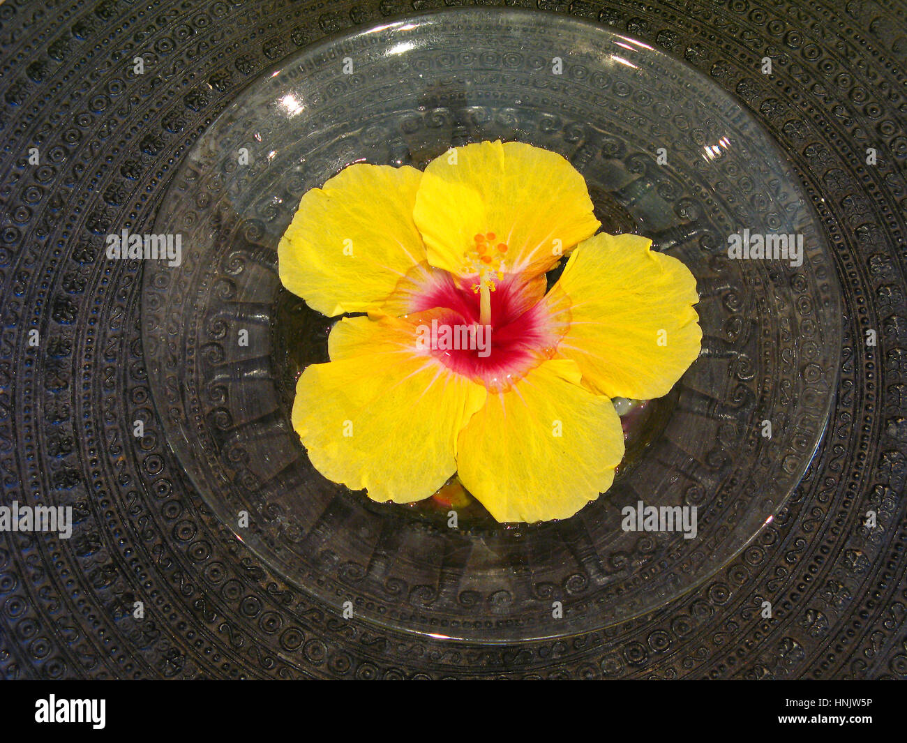 Wellness area, blossom bowl with yellow,hibiscus, Oberoi Luxushotel ...