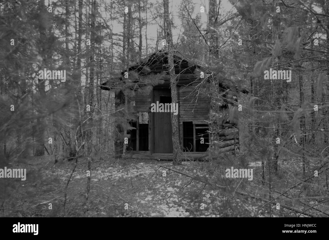 Horror woods Black and White Stock Photos & Images - Alamy