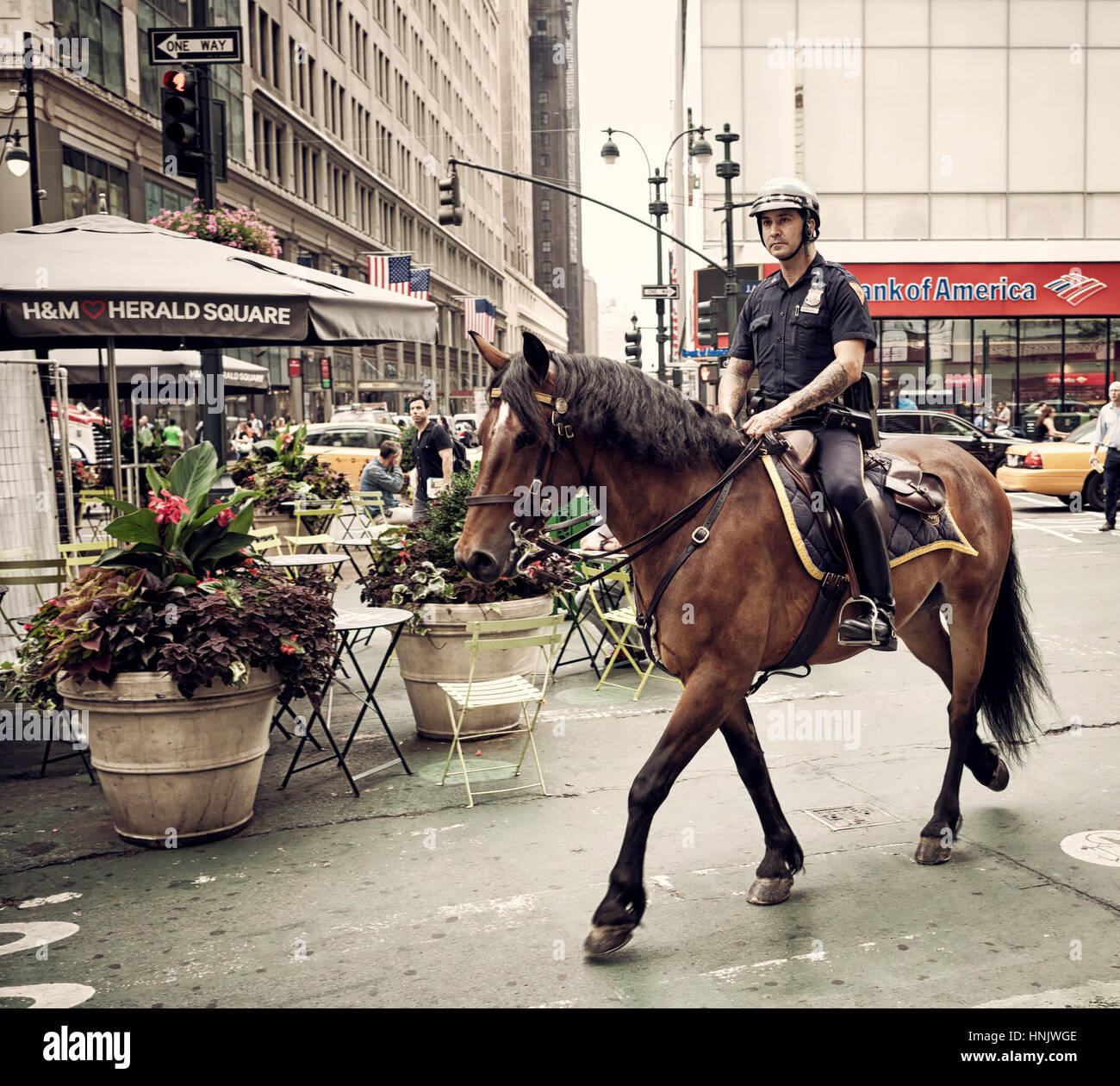 Police Horse In New York City High Resolution Stock Photography and ...