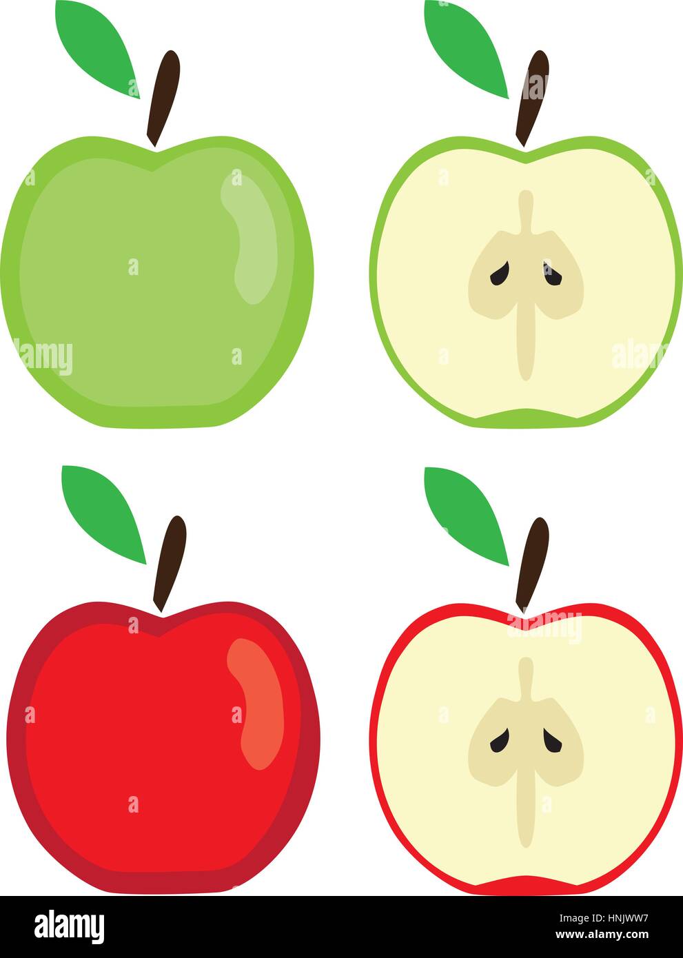 vector illustration of red and green apples Stock Vector Image & Art ...