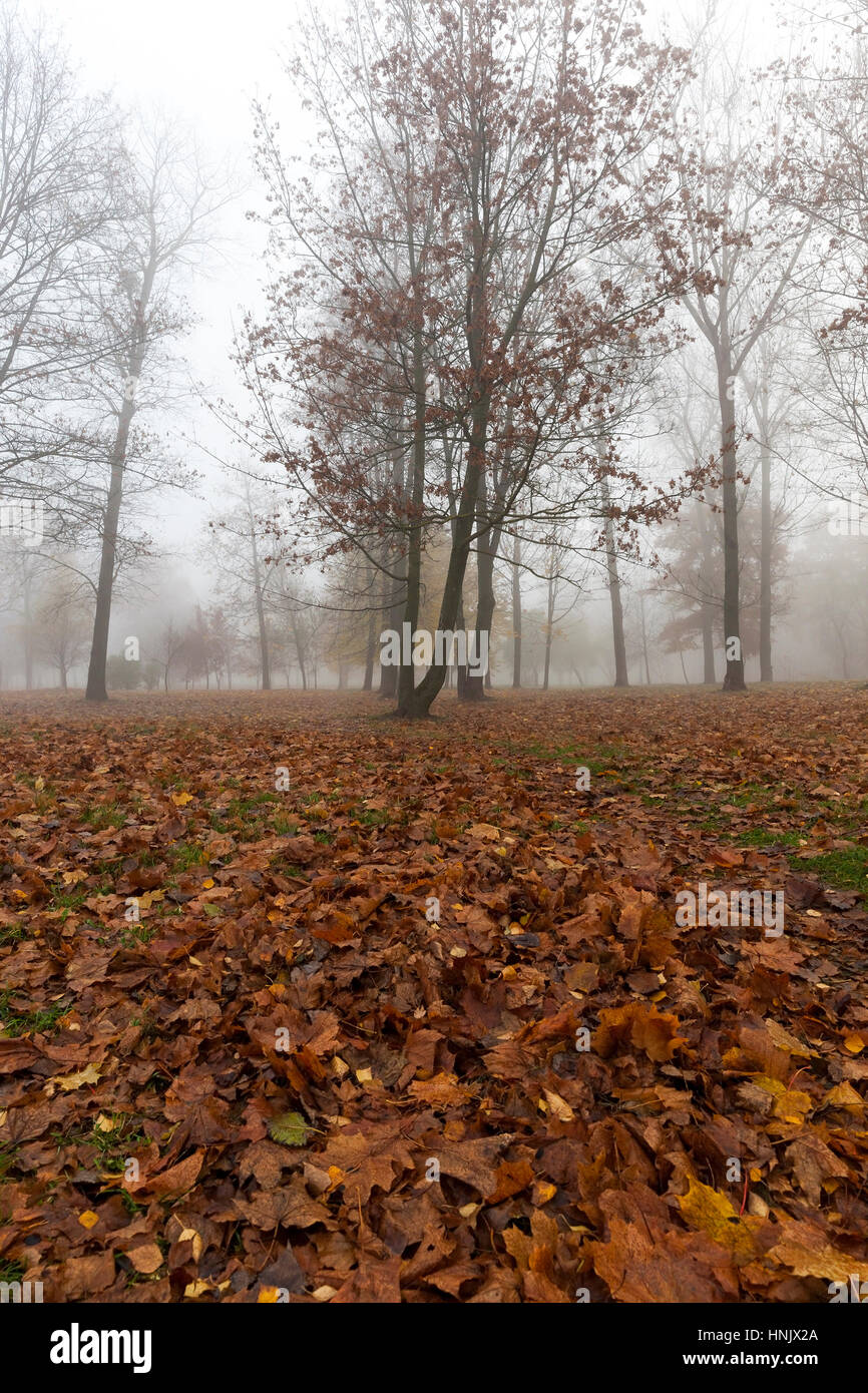 Film of fog hi-res stock photography and images - Alamy