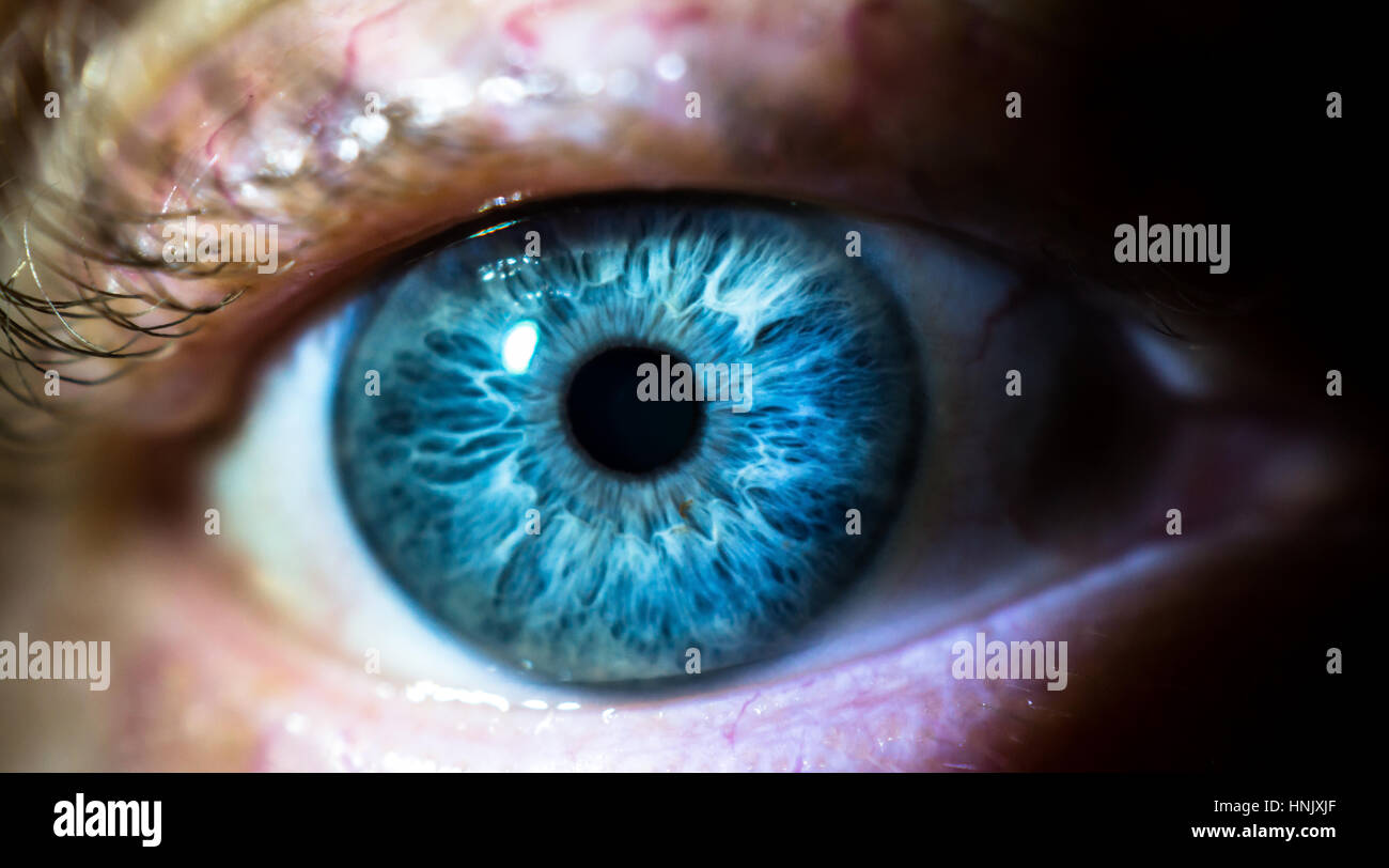 Closeup of a human iris Stock Photo - Alamy