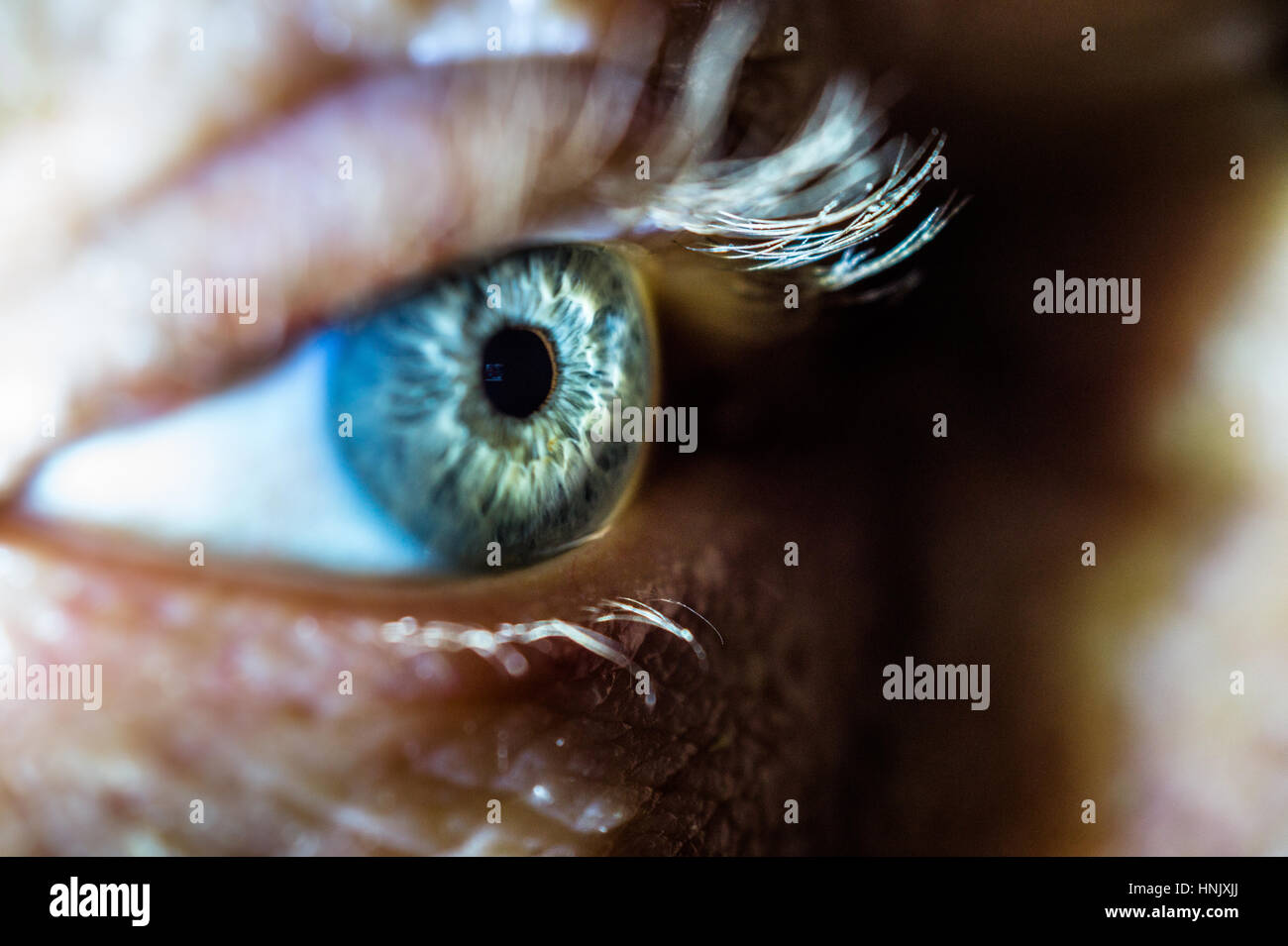 Human iris hi-res stock photography and images - Alamy