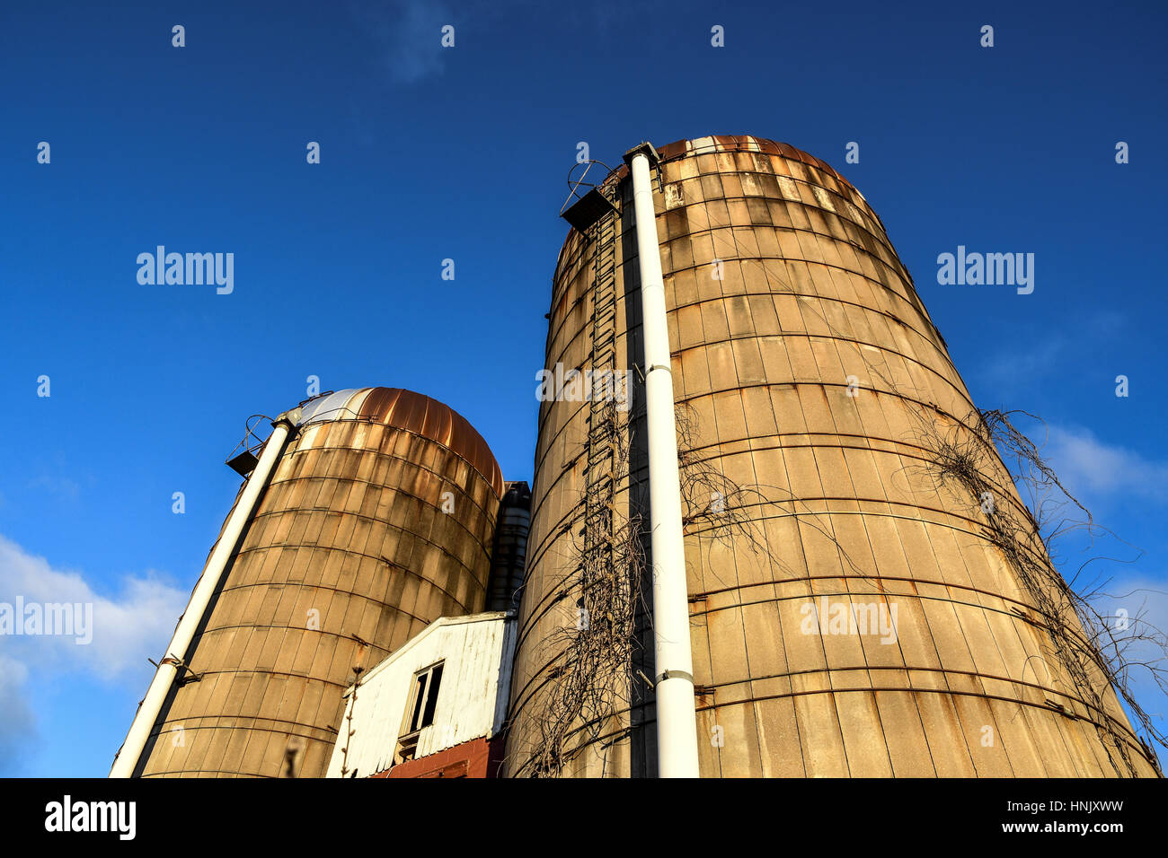 Concrete grain silos hi-res stock photography and images - Alamy
