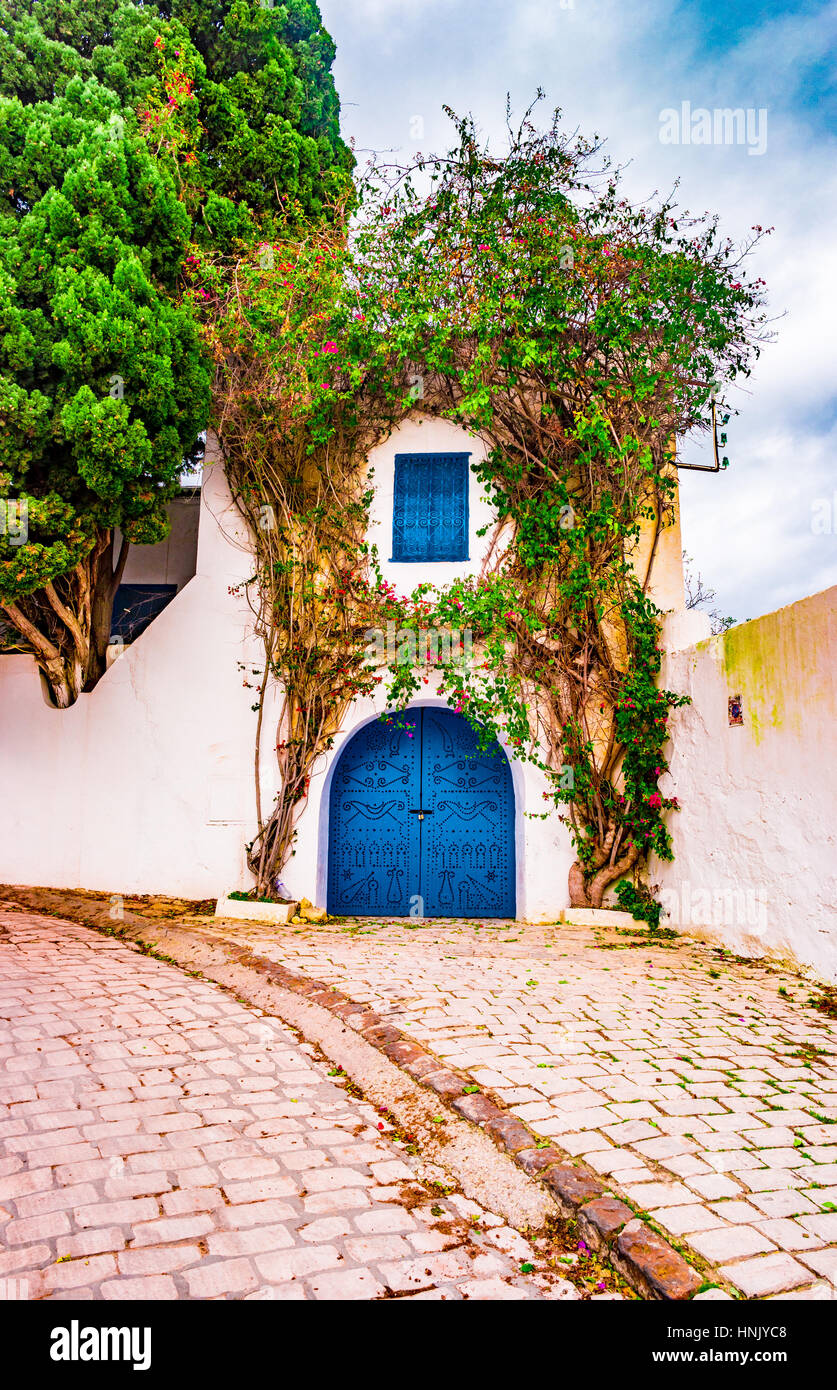 Sidi Bou Said, famouse village with traditional tunisian architecture ...