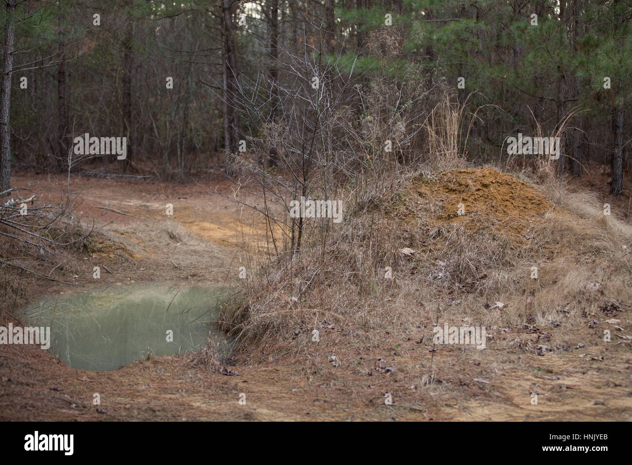 Mud hole hi-res stock photography and images - Alamy