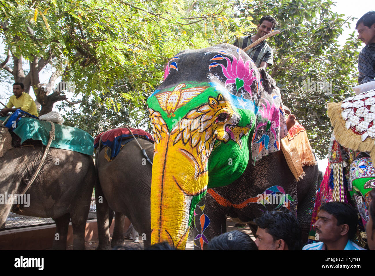 Tourists,folk music,dance Painted,decorated,elephants,At Holi,Spring ...