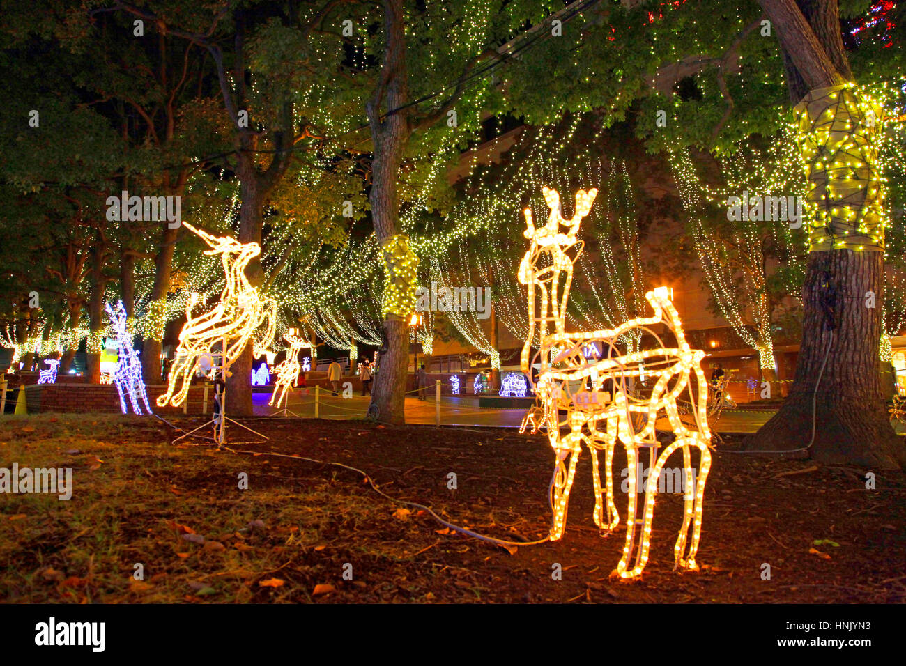 The Tama Center Illuminations Tama city Tokyo Japan Stock Photo - Alamy