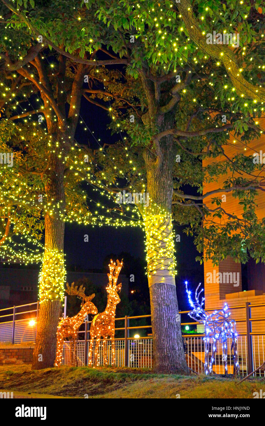 The Tama Center Illuminations Tama city Tokyo Japan Stock Photo - Alamy