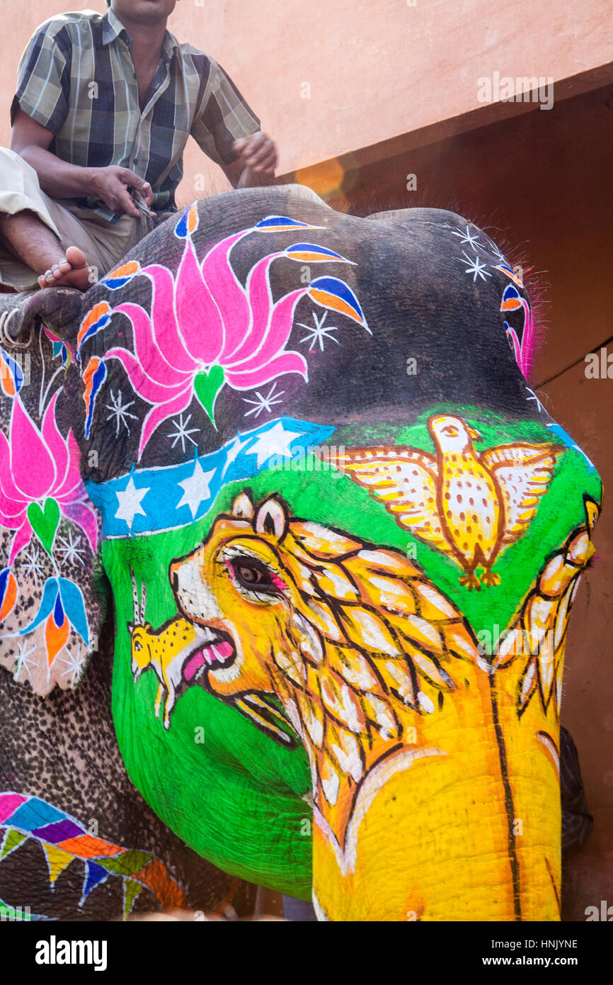 Tourists,folk music,dance Painted,decorated,elephants,At Holi,Spring ...