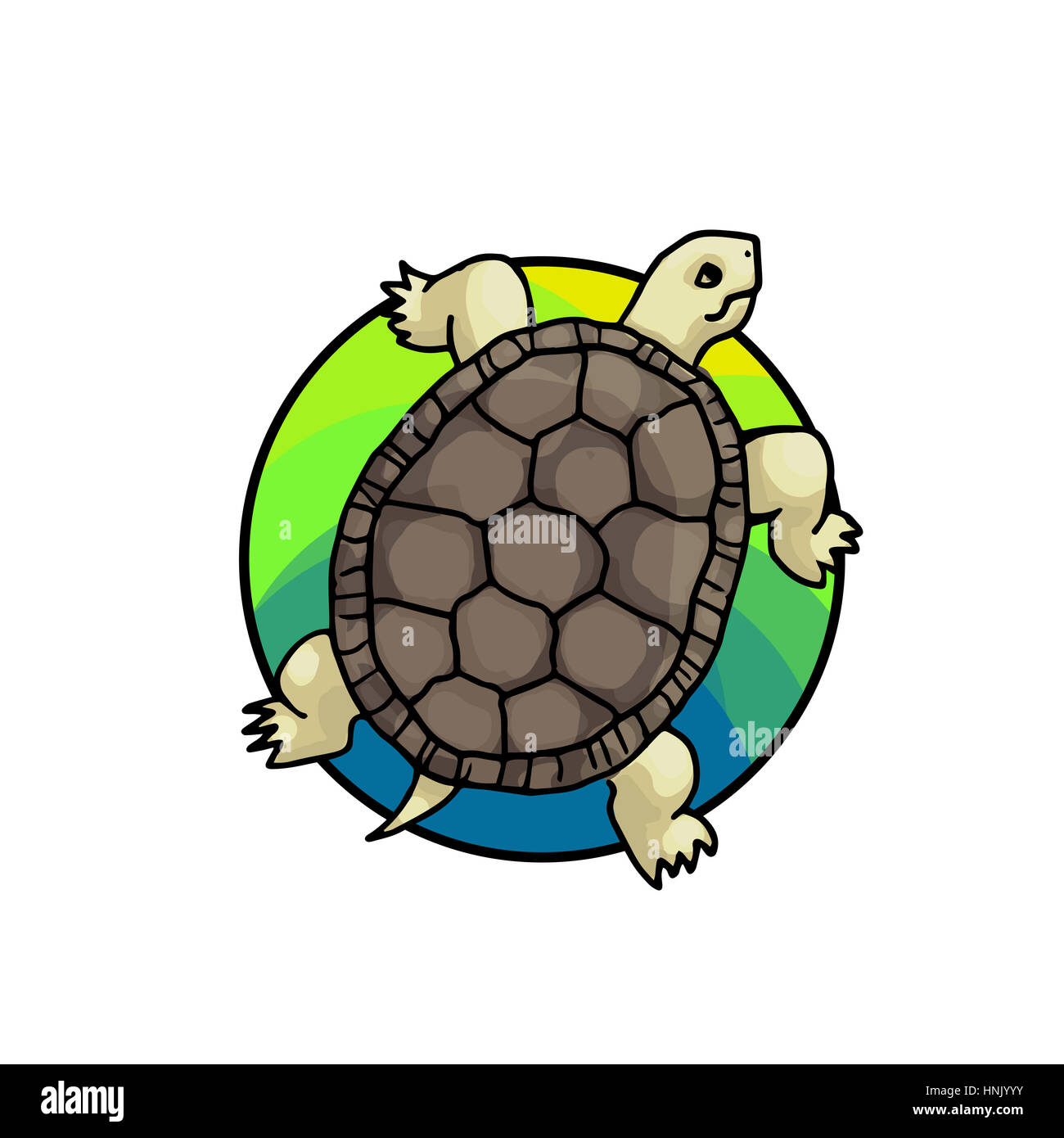 Tortoise. Animal art, cute cartoon style, hand drawn illustration ...