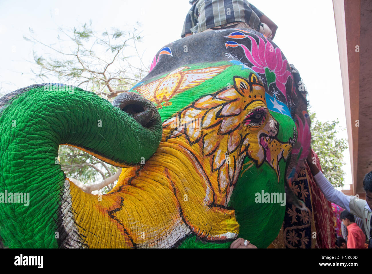 Tourists,folk music,dance Painted,decorated,elephants,At Holi,Spring ...