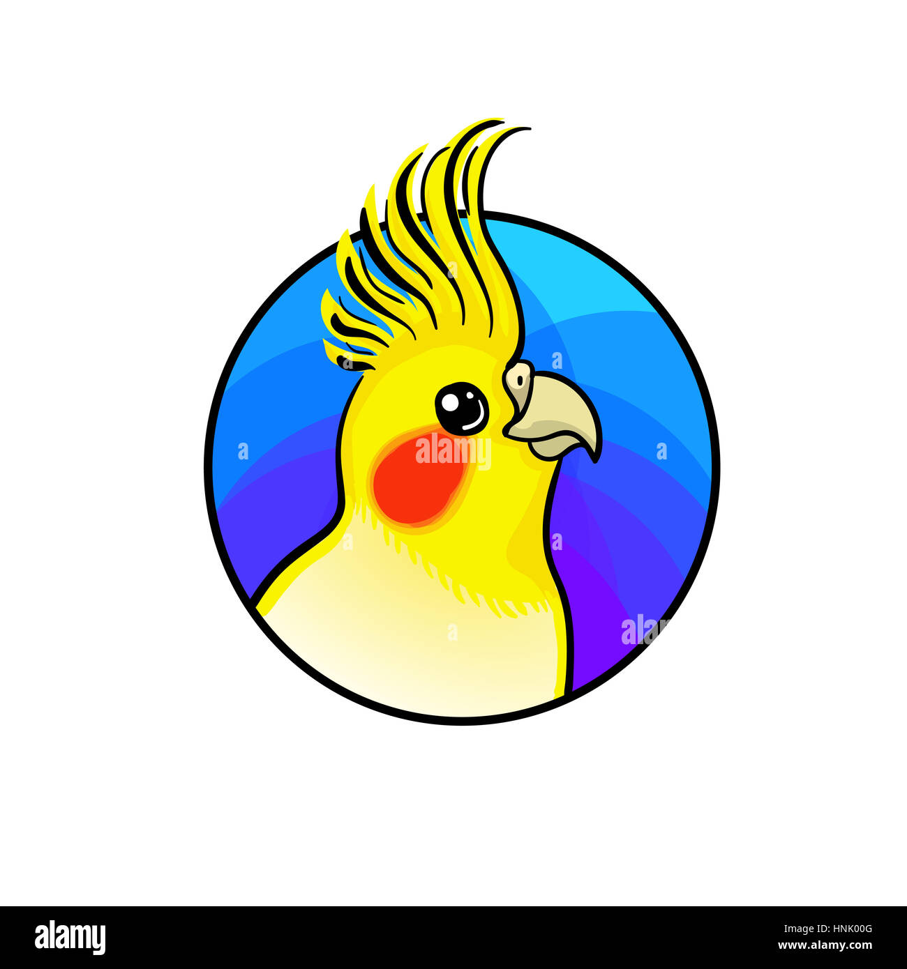 Cockatiel bird. Animal art, cute cartoon style, hand drawn illustration ...