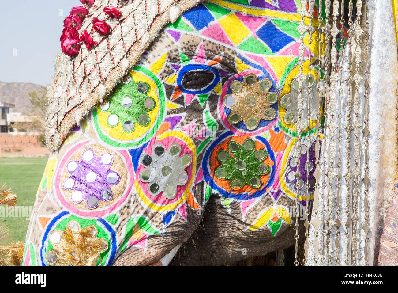 Tourists,folk music,dance Painted,decorated,elephants,At Holi,Spring ...