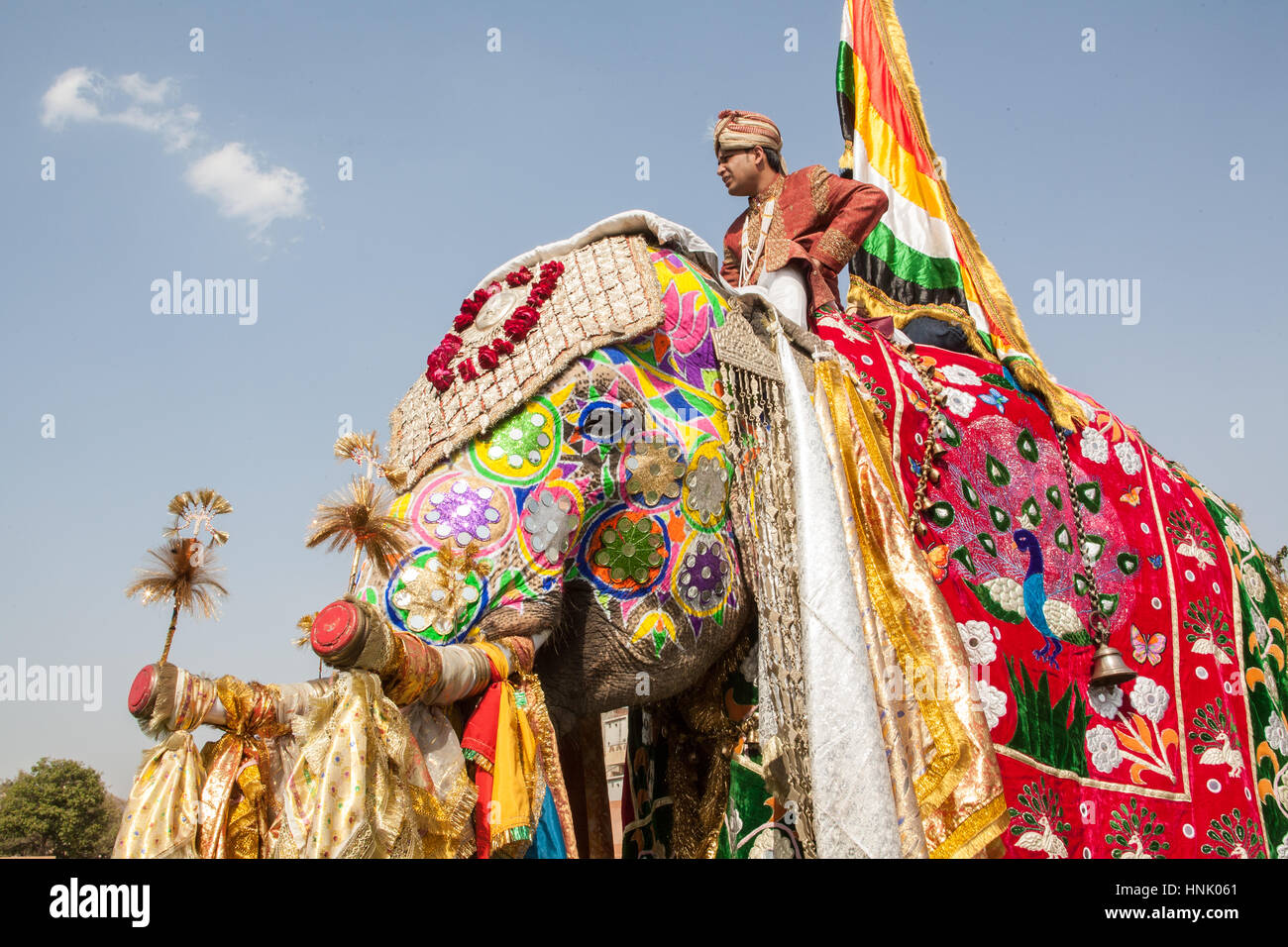Tourists,folk music,dance Painted,decorated,elephants,At Holi,Spring ...