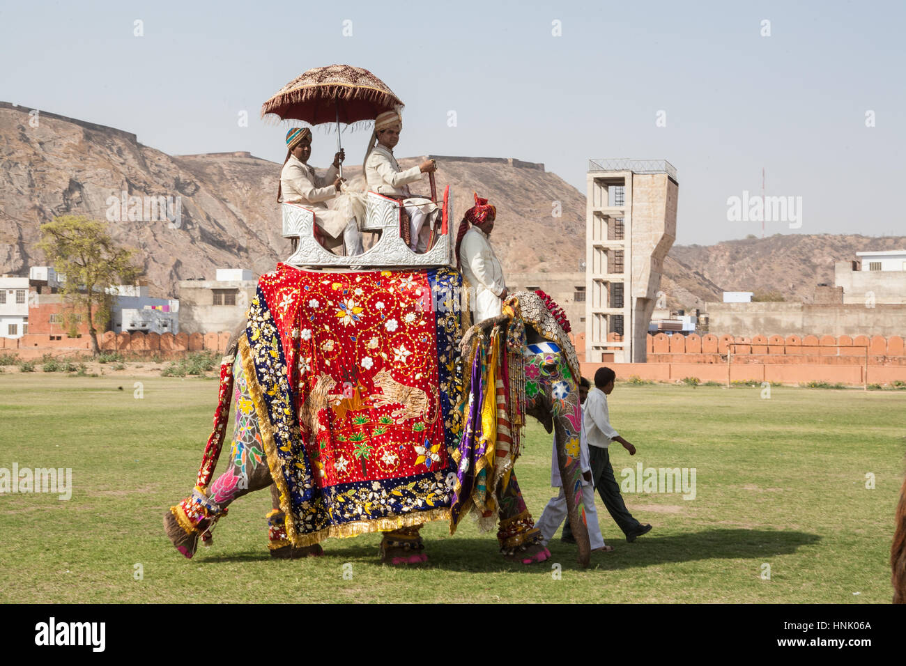 Tourists,folk music,dance Painted,decorated,elephants,At Holi,Spring ...