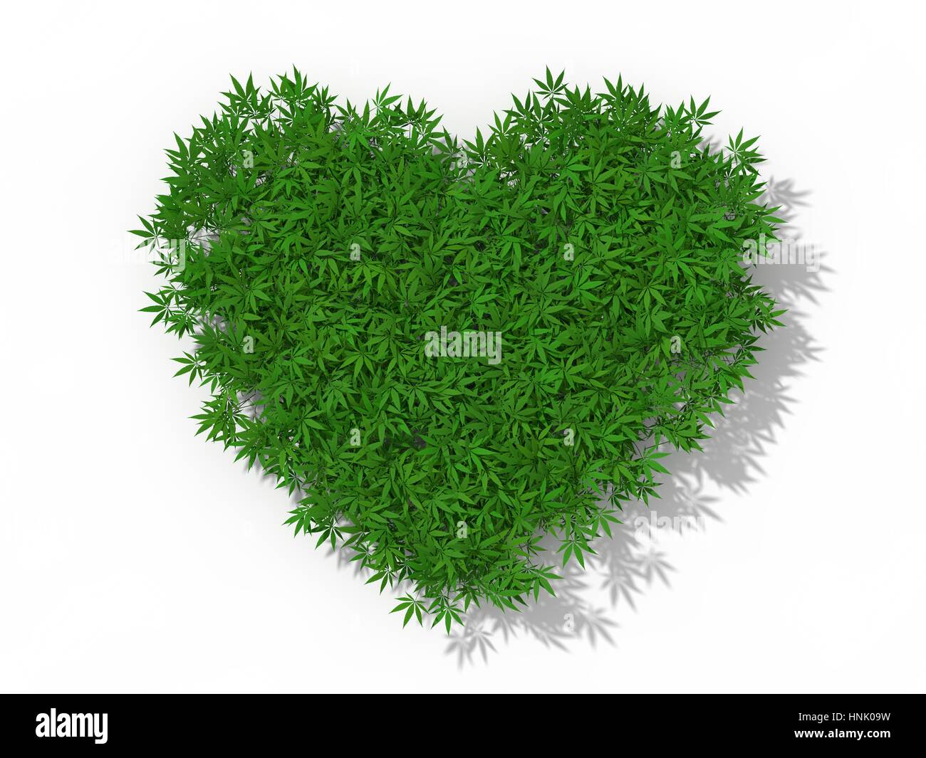 heart symbol with marijuana weeds. conceptual 3d illustration. isolated ...