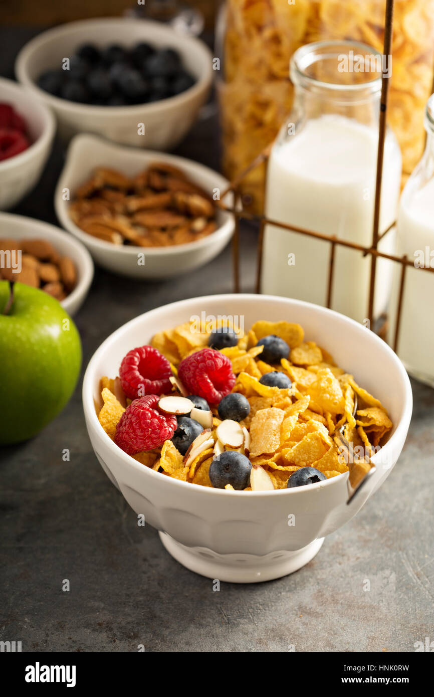 Breakfast cereal bar or buffet wih variety of cereals, fruit and nuts ...