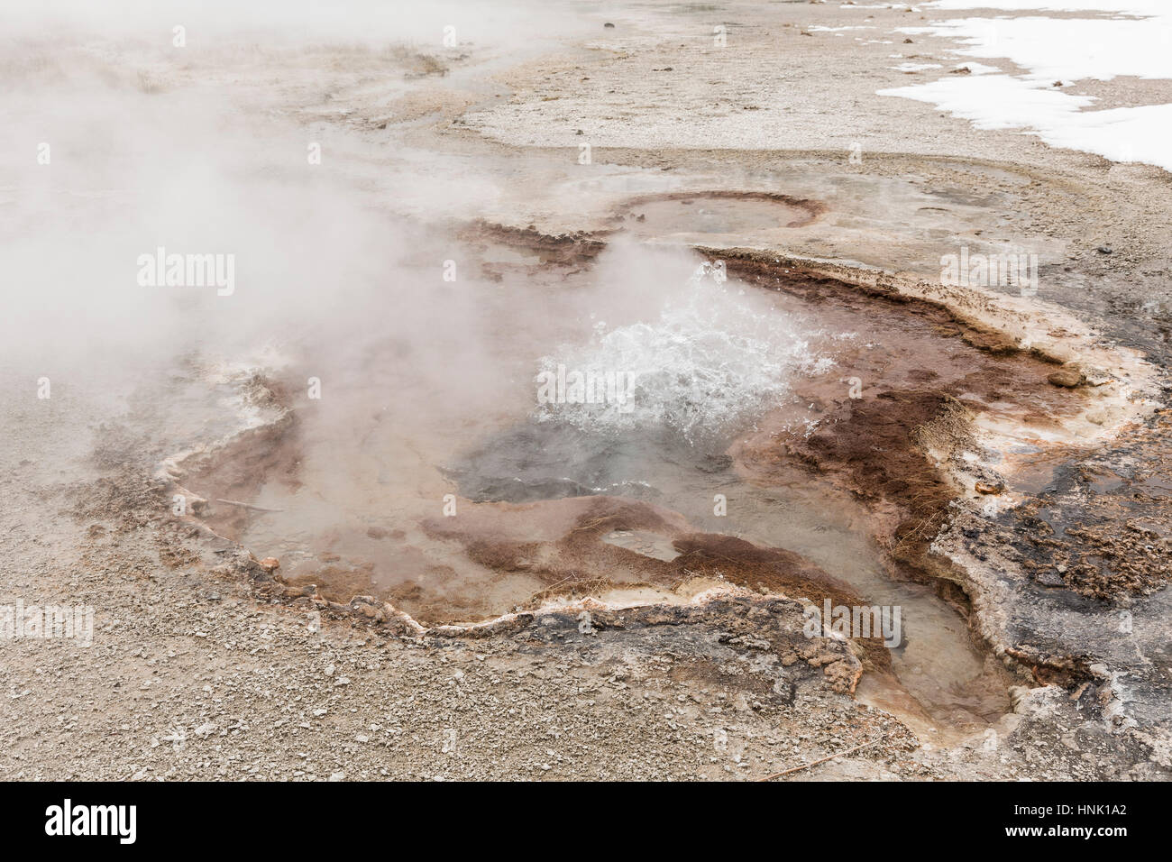 Cliff Geyser. Black Sand Basin. Sept, 2016. Yellowstone National Park ...