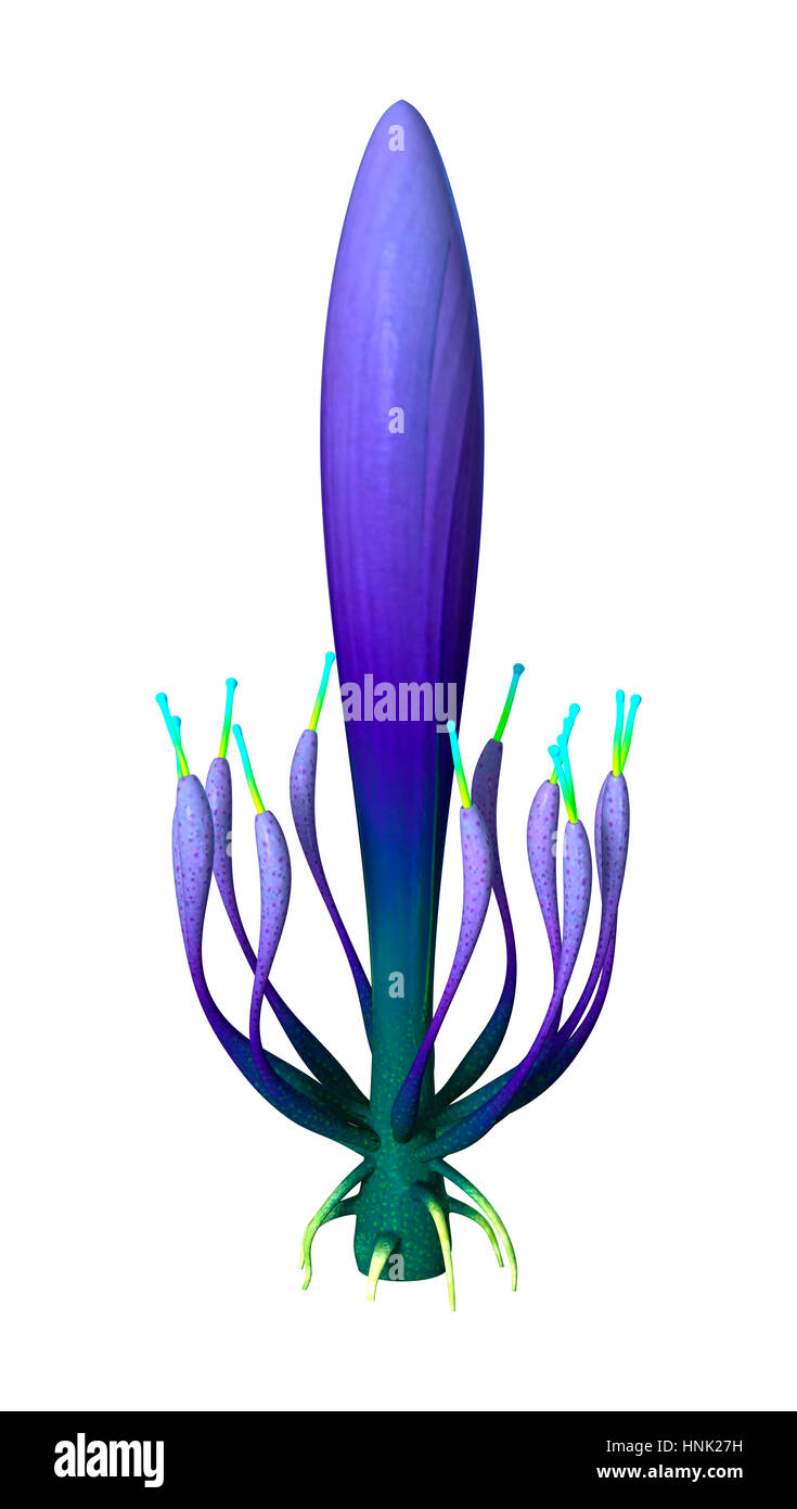 3D rendering of a fantasy alien plant isolated on white background ...