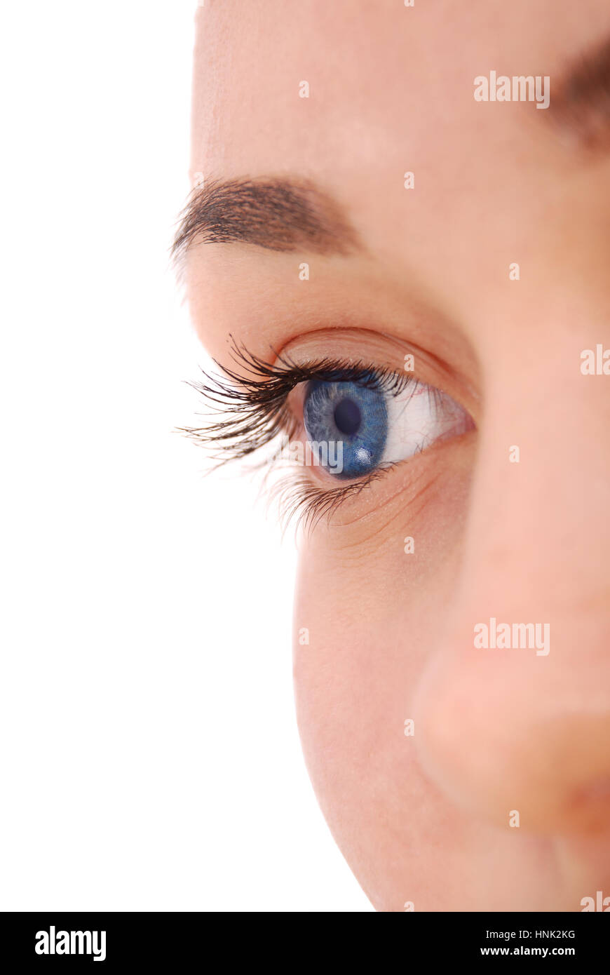 Close-up view of female blue eye. Perfect skin, long eyelashes Stock ...